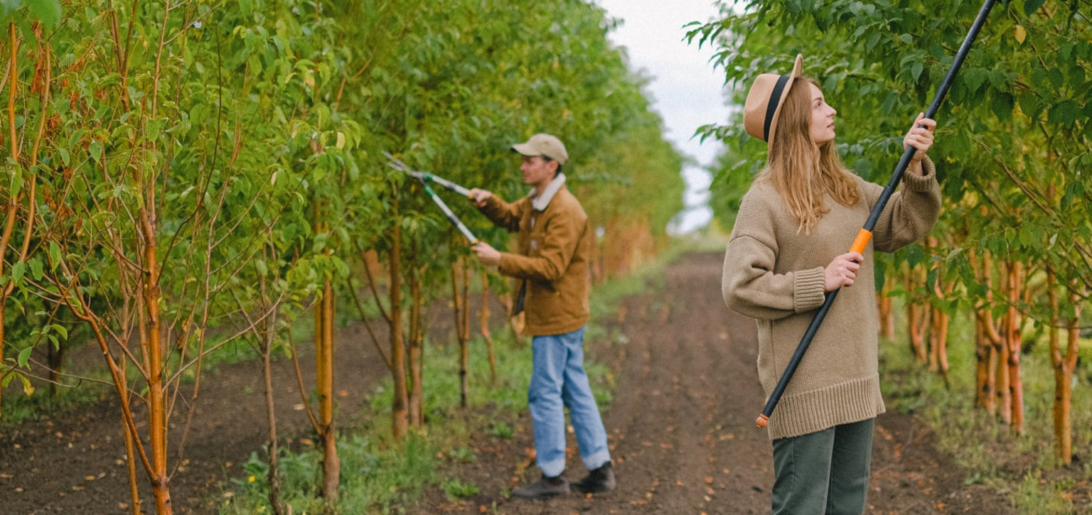 BC Fruit Growers' Association – We are an industry association ...