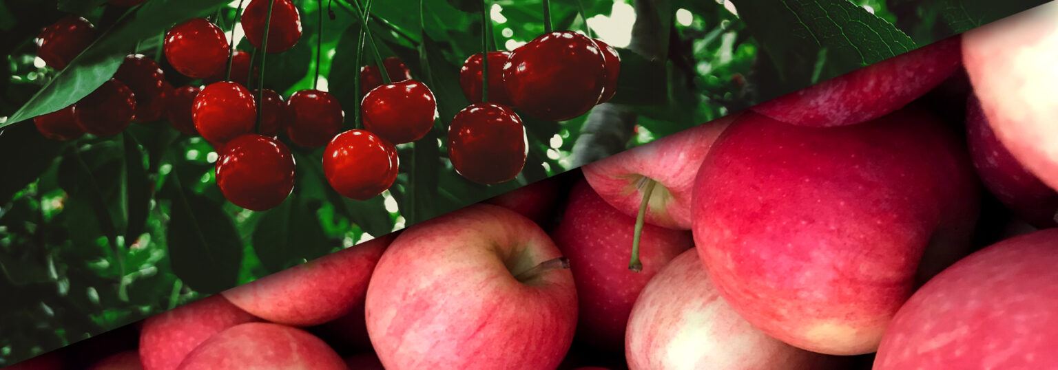 TFPG – BC Fruit Growers' Association